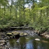 Stepstone Falls via Ben Utter Trail, Rhode Island - 1,612 Reviews, Map ...