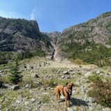 Century Sam Lake, British Columbia, Canada - 605 Reviews, Map | AllTrails