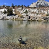 Twenty Lakes Basin Loop, California - 494 Reviews, Map | AllTrails