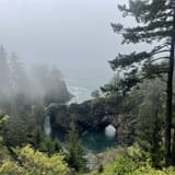 Natural Bridges Viewpoint Trail, Oregon - 892 Reviews, Map | AllTrails