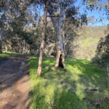 Kelmscott Bush Track, Western Australia, Australia - 25 Reviews, Map ...