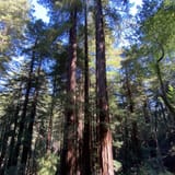 Bootjack Loop, California - 1,989 Reviews, Map | AllTrails