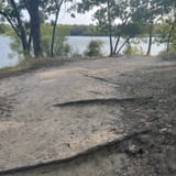 Pierce Lake Trail, Illinois - 1,023 Reviews, Map | AllTrails