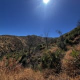 Homestead to Blue Ridge Loop, California - 3,246 Reviews, Map | AllTrails