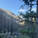 Cascade Falls, Colorado - 2,029 Reviews, Map | AllTrails