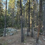 Spruce Creek Loop, Colorado - 1,975 Reviews, Map | AllTrails