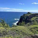 ʻŌhai Trail Loop, Maui, Hawaii - 883 Reviews, Map | AllTrails