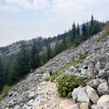 Ira Spring Memorial Trail, Washington - 2,437 Reviews, Map | AllTrails