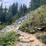 Ira Spring Memorial Trail, Washington - 2,437 Reviews, Map | AllTrails