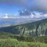 Waihe'e Ridge Trail, Maui, Hawaii - 9,447 Reviews, Map | AllTrails