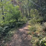 Amanda's Trail, Oregon - 154 Reviews, Map | AllTrails