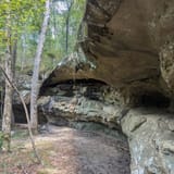 Red Cedar Trail, Illinois - 550 Reviews, Map | AllTrails