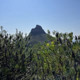 Kloof Corner, Western Cape, South Africa - 232 Reviews, Map | AllTrails