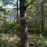 Cato's Ridge, Massachusetts - 513 Reviews, Map | AllTrails