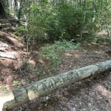 Cato's Ridge, Massachusetts - 513 Reviews, Map | AllTrails