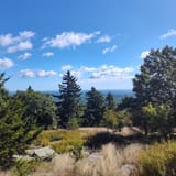 Mount Watatic, Massachusetts - 1,656 Reviews, Map | AllTrails