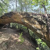 Indian Staircase Trail, Kentucky - 1,939 Reviews, Map | AllTrails
