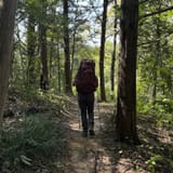Cross Timbers Hiking Trail, Texas - 1,496 Reviews, Map | AllTrails