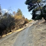 Fullerton Loop, California - 4,233 Reviews, Map | AllTrails