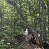Oberg Mountain Loop Via Superior Hiking Trail, Minnesota - 1,682 ...