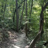 Stringers Ridge via Blue Trail, Tennessee - 2,106 Reviews, Map | AllTrails
