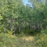 Empire Mine via Samelius Trailhead, South Dakota - 375 Reviews, Map ...