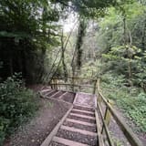Wepre Park Circular, Flintshire, Wales - 502 Reviews, Map | AllTrails