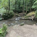Wepre Park Circular, Flintshire, Wales - 493 Reviews, Map | AllTrails