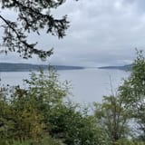 Point Defiance Park Outer Loop, Washington - 4,879 Reviews, Map | AllTrails