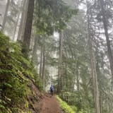 Comet Falls via Van Trump Trail, Washington - 2,928 Reviews, Map ...