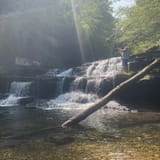 Machine Falls, Adams Falls, Busby Falls and Laurel Bluff Loop ...