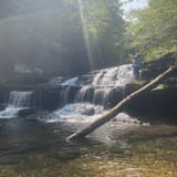 Machine Falls, Adams Falls, Busby Falls and Laurel Bluff Loop ...
