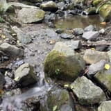 Japanese Gulch Loop Trail, Washington - 1,257 Reviews, Map | AllTrails