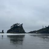 Second Beach, Washington - 2,063 Reviews, Map | AllTrails