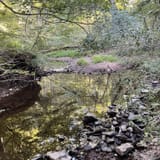 Red Cedar Trail, Illinois - 543 Reviews, Map | AllTrails