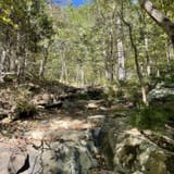 Red Cedar Trail, Illinois - 543 Reviews, Map | AllTrails