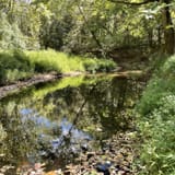 Red Cedar Trail, Illinois - 543 Reviews, Map | AllTrails