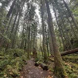 Little Si Trail, Washington - 12,387 Reviews, Map | AllTrails