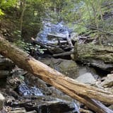 Lye Brook Falls Trail, Vermont - 3,465 Reviews, Map | AllTrails
