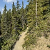 Castle Mountain Lookout Trail, Alberta, Canada - 2,225 Reviews, Map ...