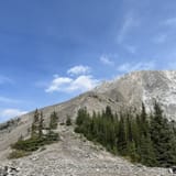 Lady Macdonald Teahouse, Alberta, Canada - 2,077 Reviews, Map | AllTrails