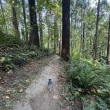 Forest Park Ridge Trail, Oregon - 1,320 Reviews, Map | AllTrails