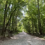Cochran Mill Loop 1 and 2 (Orange), Georgia - 859 Reviews, Map | AllTrails