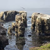 Point Buchon Trail, California - 596 Reviews, Map | AllTrails