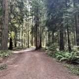 Robin Hill Park, Washington - 325 Reviews, Map | AllTrails