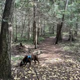 Robin Hill Park, Washington - 347 Reviews, Map | AllTrails