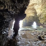 Point Buchon Trail, California - 578 Reviews, Map | AllTrails