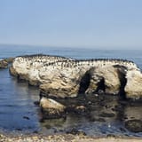 Point Buchon Trail, California - 591 Reviews, Map | AllTrails