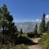 Boole Tree Loop, California - 193 Reviews, Map | AllTrails