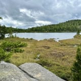 Crane Mountain Loop Hike, New York - 1,493 Reviews, Map | AllTrails
